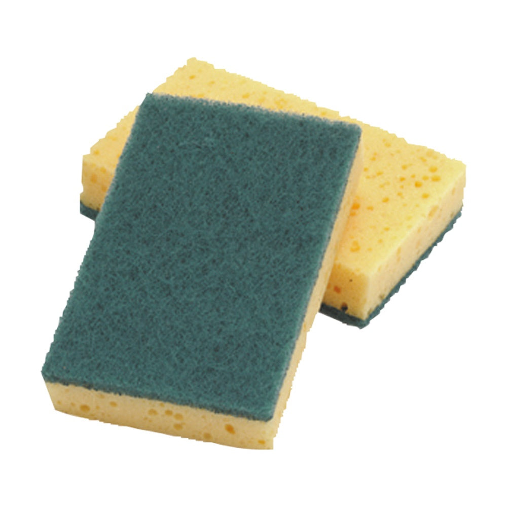 Large Sponge Scourers - Pack of 10 – Upwood Cleaning & Hygiene
